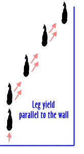 Shorten Your Reins: Lateral Work